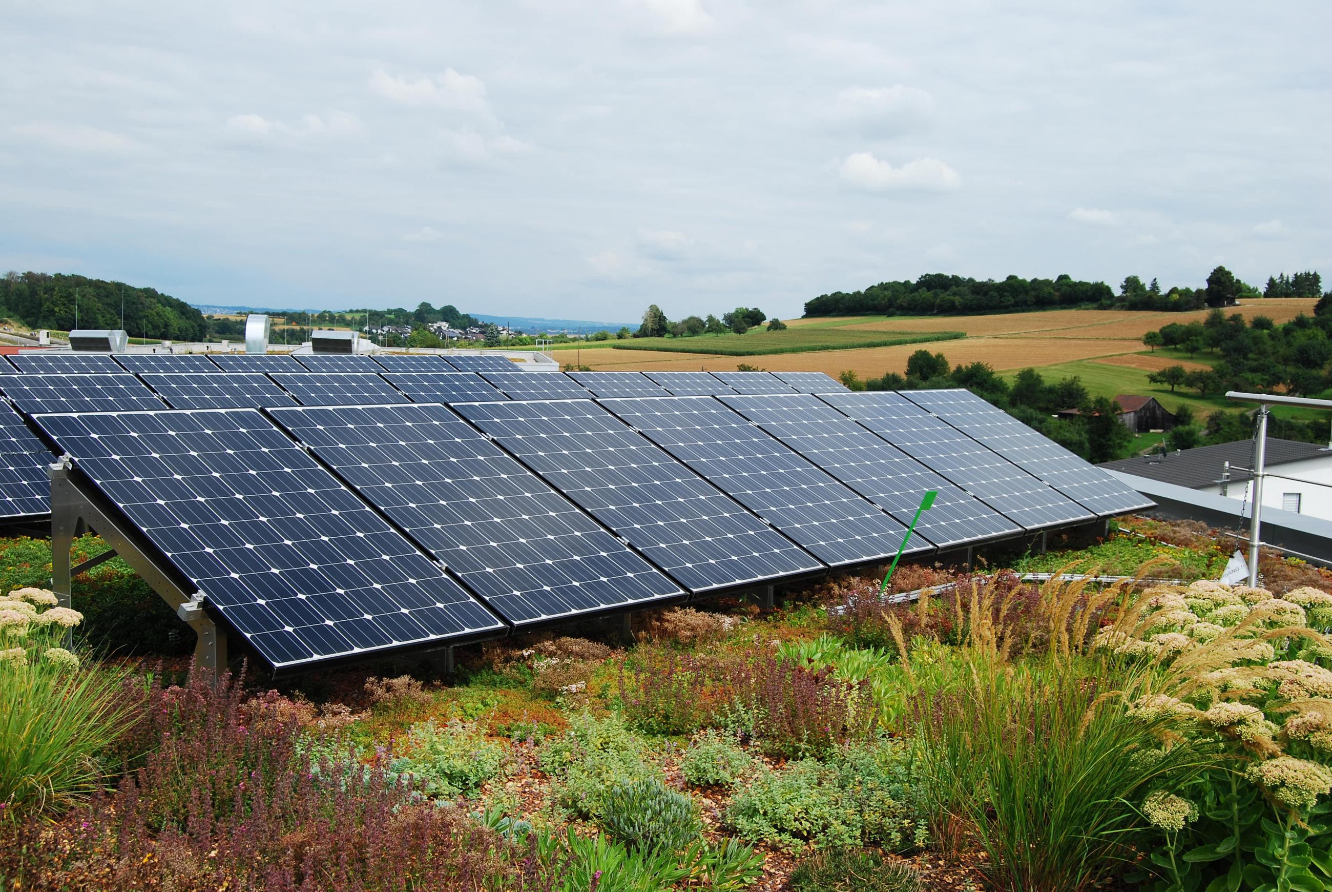 Green and solar – 4 % increase in yield | ZinCo Italia